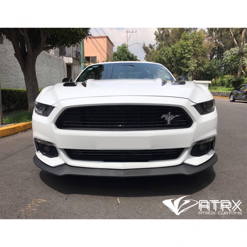 Parrilla California Rejilla Ford Mustang 2015 - 2017